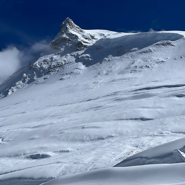 Tracee Metcalfe – Physician & Mountaineer